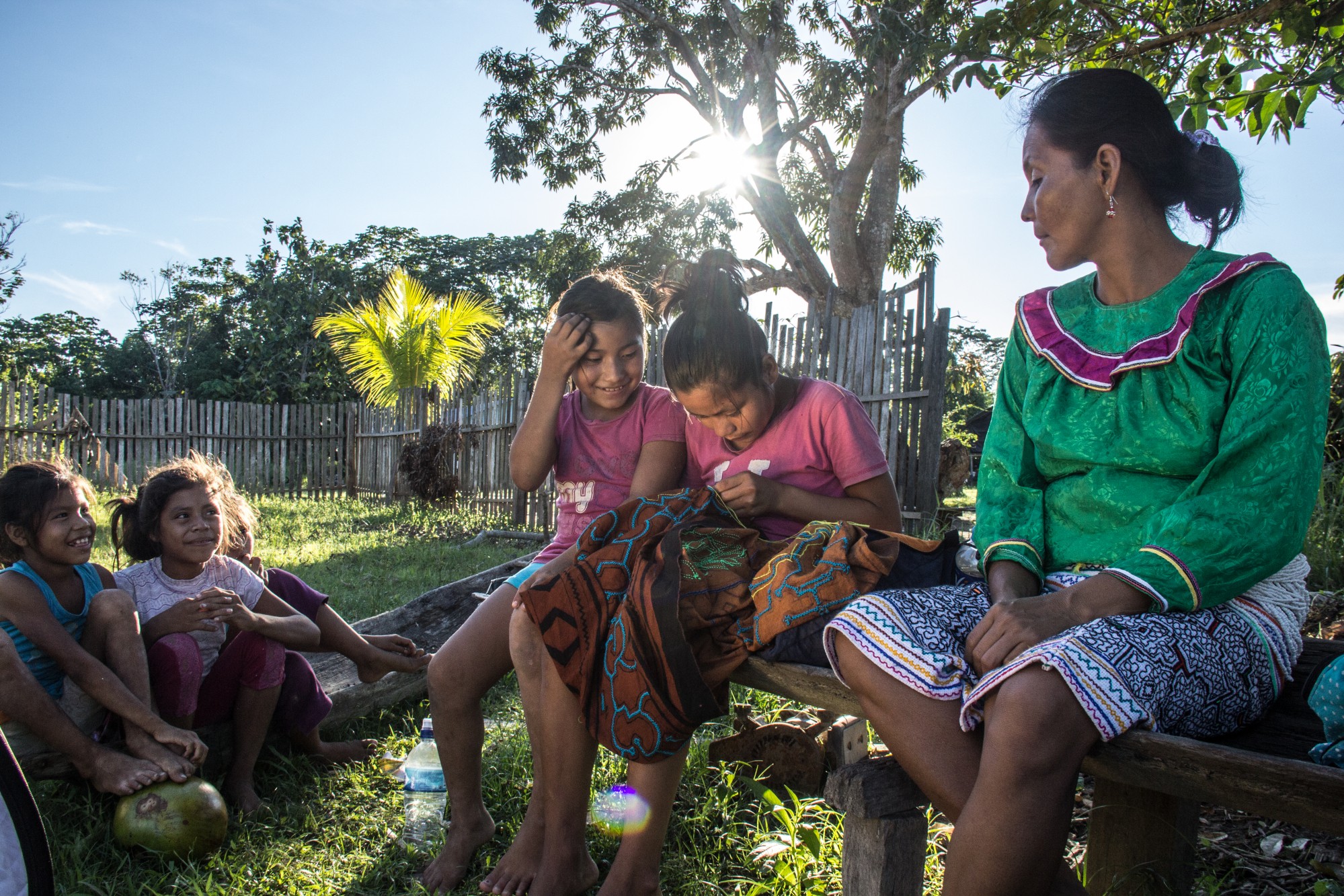 Inheemse volkeren blijken beste bewakers van de bossen in latijns ...