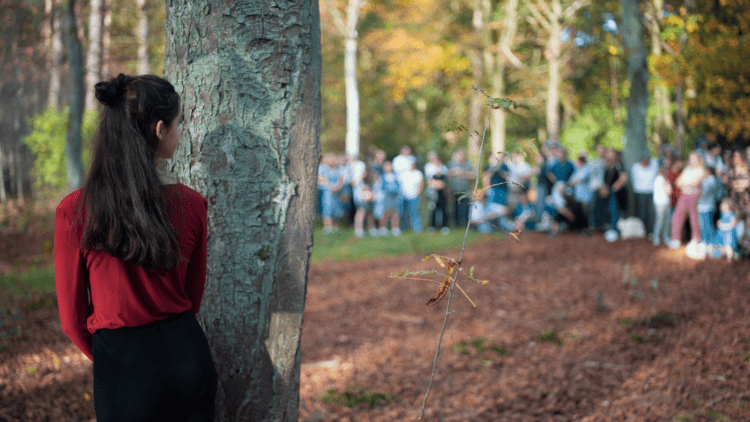 Dans In Het Bos Bos