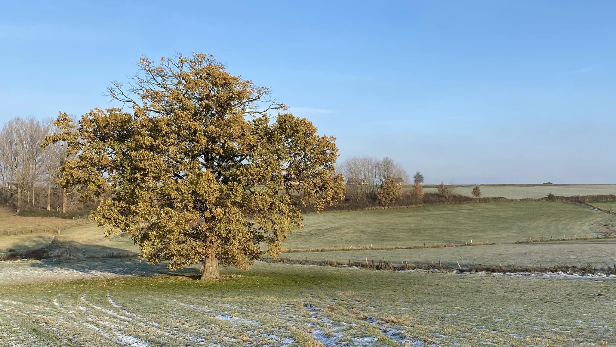 Wandeling Lierde - Zottegem: doorheen de mooiste vista's van de pre ...