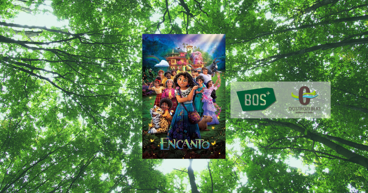 Film in het bos - BOS+