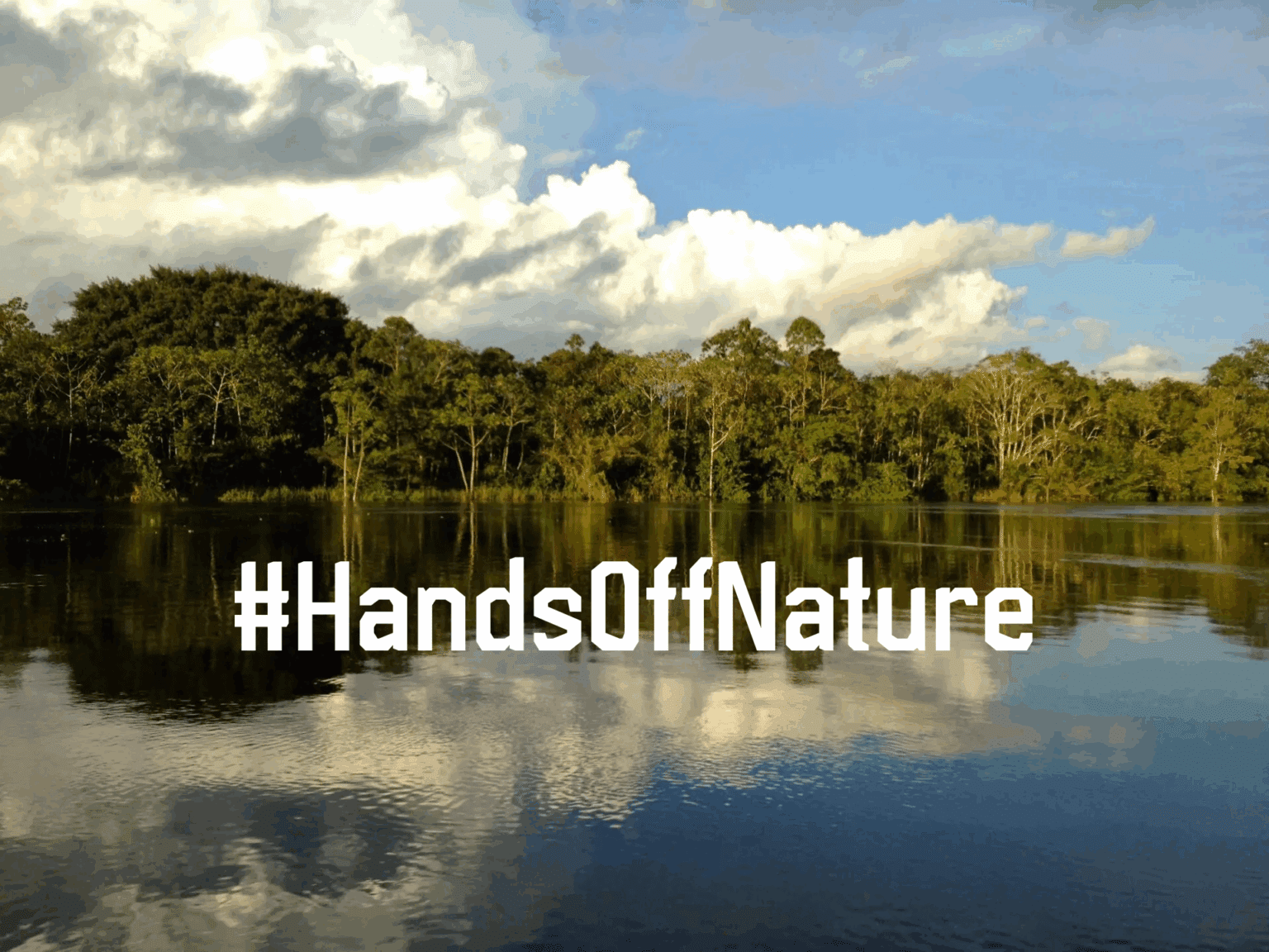 Wandeling Heverleebos - Meerdaalwoud - BOS+